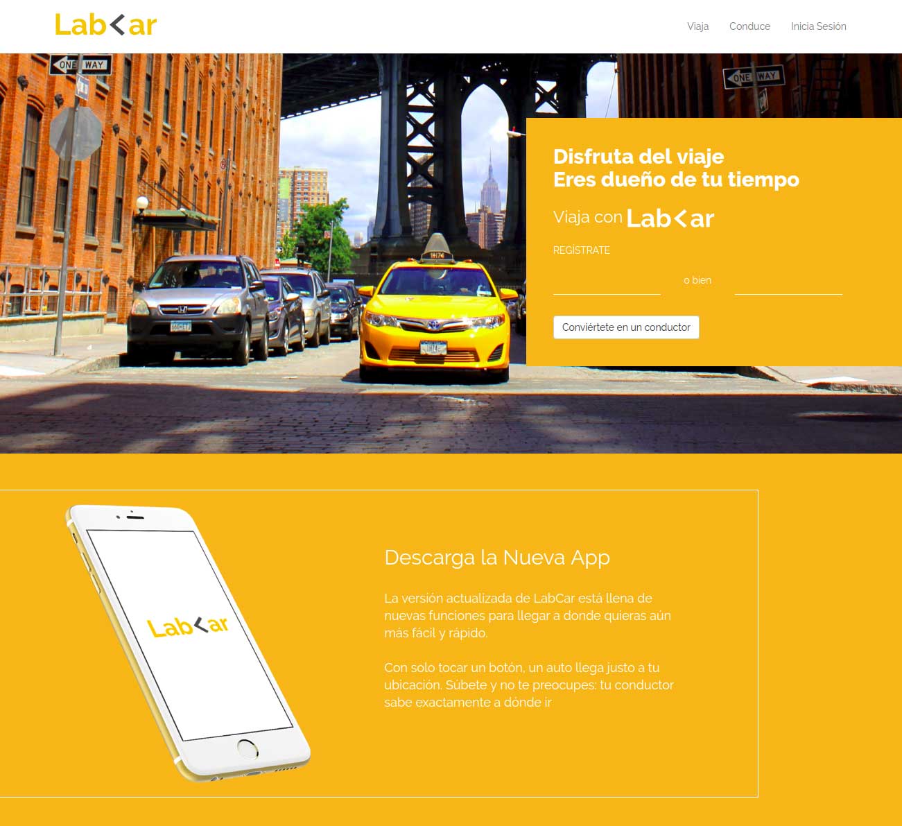 Berenisse | Portfolio